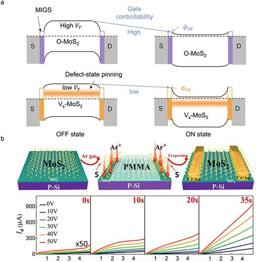 Native point defects in 2D transition metal dichalcogenides: A ...