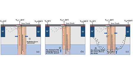 Study of the mechanism of single event burnout in lateral depletion ...