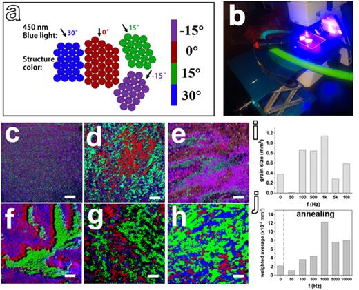 Regulating two-dimensional colloidal crystal assembly through ...