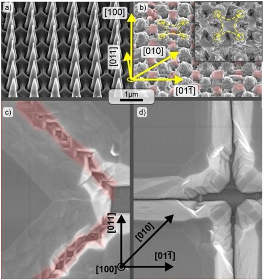 Coalescence as a key process in wafer-scale diamond heteroepitaxy ...