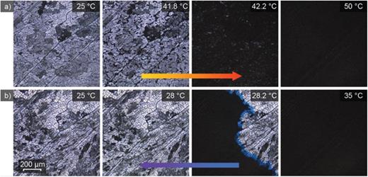 Kinetics of the plastic crystal transition in neopentyl glycol ...