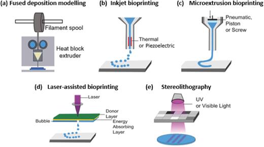 Recent advances in 3D printing for in vitro cancer models | Journal of ...