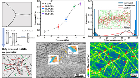 Dynamic interactions of twinning, grain boundaries, and dislocation in ...