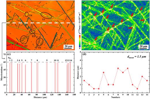 Dynamic interactions of twinning, grain boundaries, and dislocation in ...
