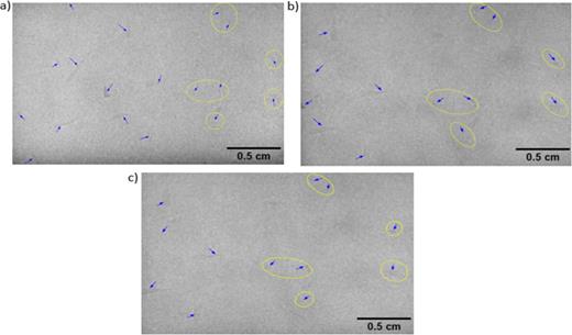 Design and fabrication of a sandwich detector for material ...