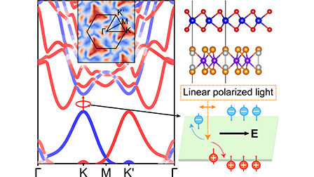 Magnetic proximity effect on the spin-valley coupling in two ...