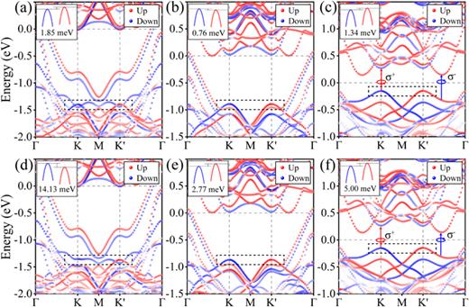 Magnetic proximity effect on the spin-valley coupling in two ...