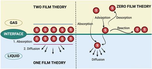 Plasma–liquid interactions in the presence of organic matter—A ...
