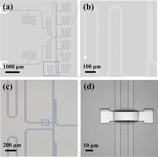 High-suppression-ratio and wide bandwidth four-stage Purcell filter for ...