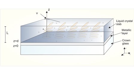 Electromagnetic guided waves in composite liquid crystal-based ...