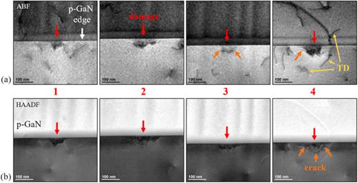 On the insignificance of dislocations in reverse bias degradation of ...