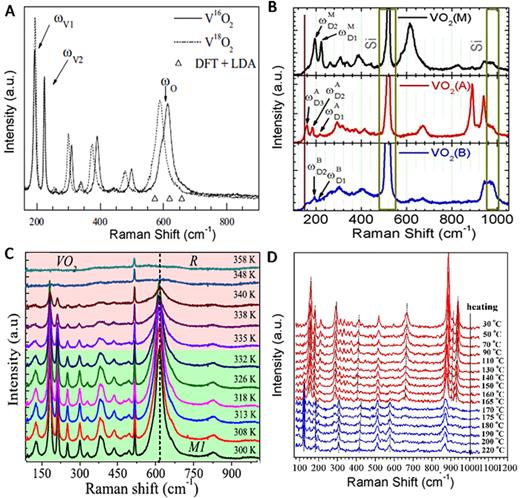 Metastable marvels: Navigating VO2 polymorphs for next-gen electronics ...