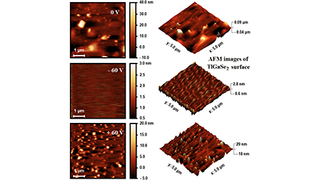 Electric-field-induced surface modification in TlGaSe2 layered ...