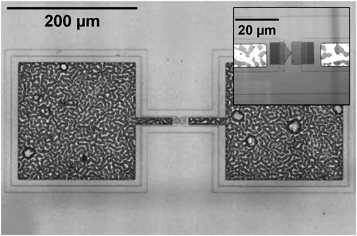 Field emission characteristics of AlGaN/GaN nanoscale lateral vacuum ...
