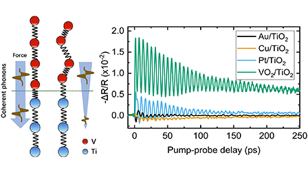 High transmission efficiency of intense sub-THz coherent phonons in ...