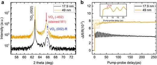 High transmission efficiency of intense sub-THz coherent phonons in ...