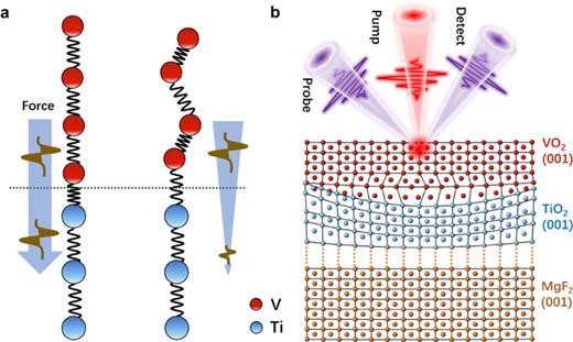 High transmission efficiency of intense sub-THz coherent phonons in ...