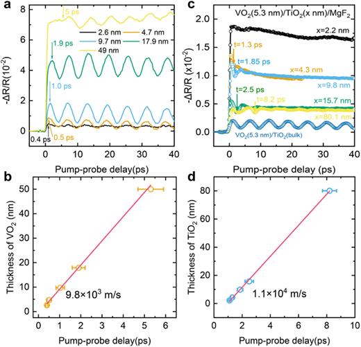 High transmission efficiency of intense sub-THz coherent phonons in ...