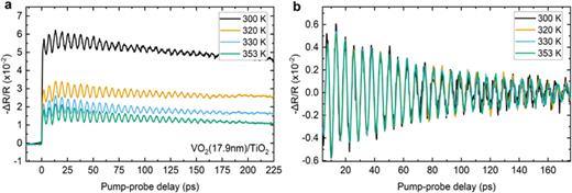 High transmission efficiency of intense sub-THz coherent phonons in ...