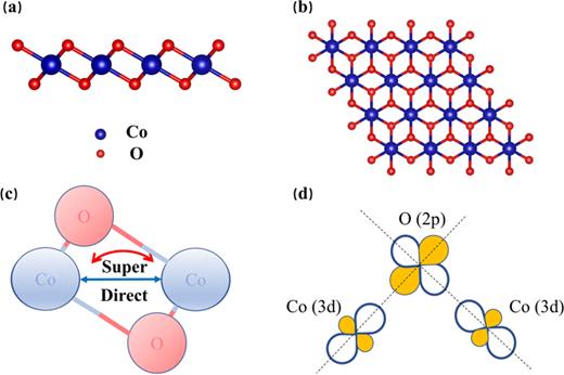 Magnetothermal properties of CoO2 monolayer from first-principles and ...