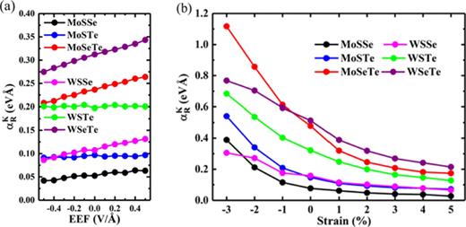 Promises and technological prospects of two-dimensional Rashba ...