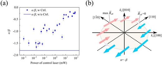 Promises and technological prospects of two-dimensional Rashba ...