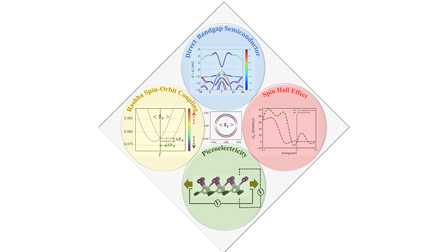 Intrinsic spin Hall and Rashba effects in metal nitride bromide ...