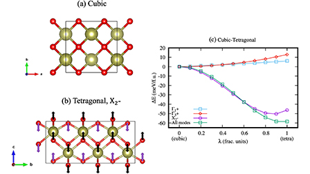 Phase transitions in HfO2 probed by first-principles computations ...