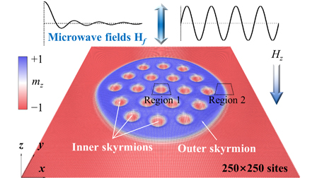 Global rotation of skyrmion bags under vertical microwave fields ...