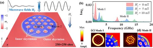 Global rotation of skyrmion bags under vertical microwave fields ...