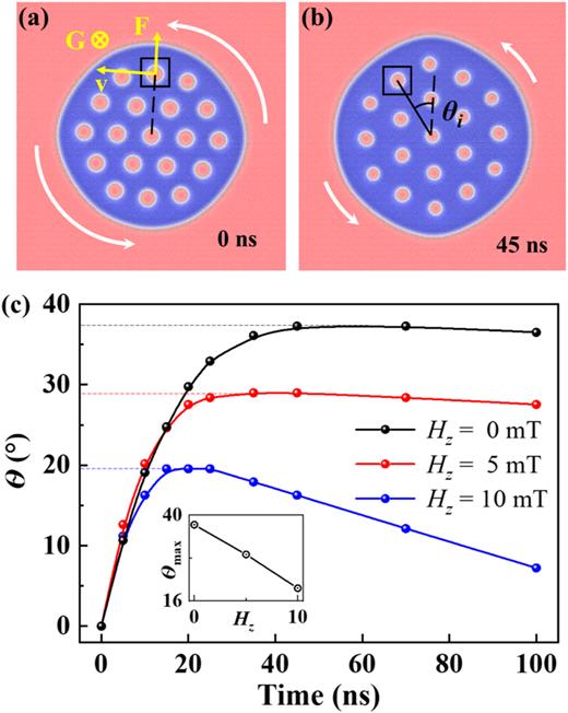 Global rotation of skyrmion bags under vertical microwave fields ...