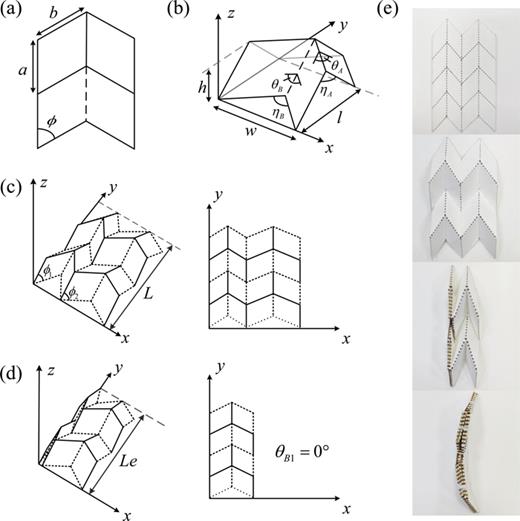 Graded in-plane Miura origami as crawling robots and grippers | Journal ...