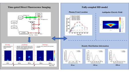 Hydrodynamic expansion and plume splitting of the ultrafast laser ...
