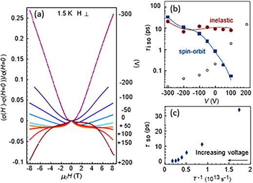 Exploring anisotropic phases and spin transport in perovskite ...