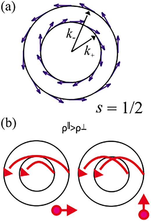 Exploring anisotropic phases and spin transport in perovskite ...