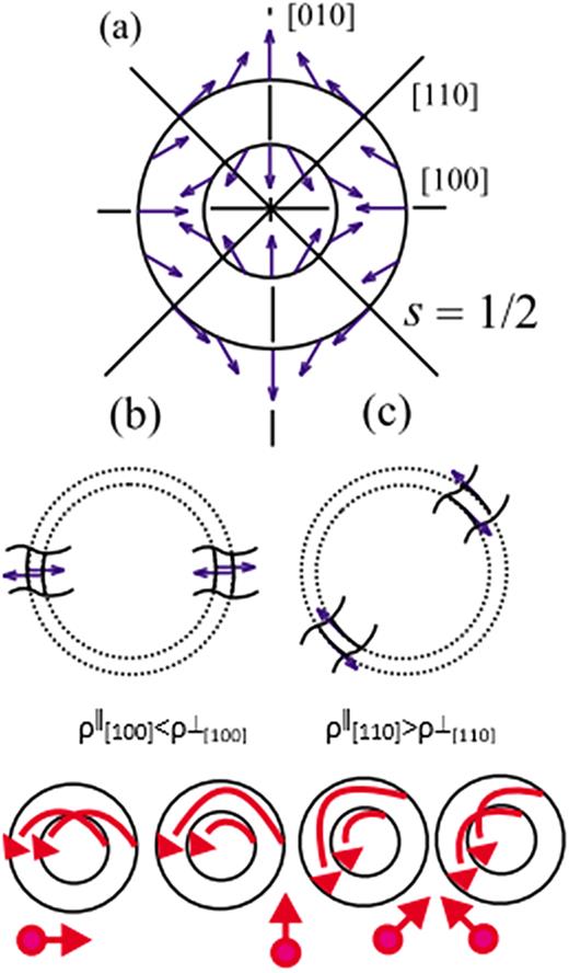 Exploring anisotropic phases and spin transport in perovskite ...