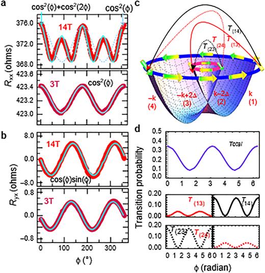 Exploring anisotropic phases and spin transport in perovskite ...