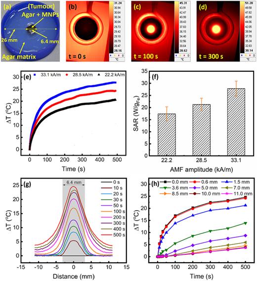 Magnetic hyperthermia in tissue-like media: Finite element simulation ...