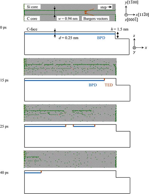 Effects of terraces and steps on the 4H-SiC BPD-TED conversion rate: A ...
