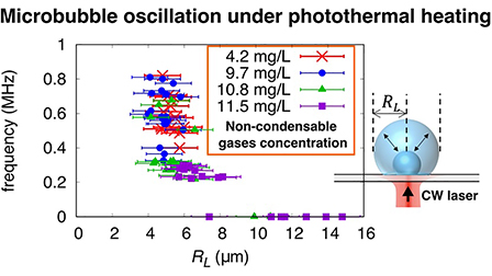 Microbubble oscillation on localized heat source affected by dissolved ...