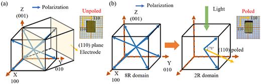 Giant electro-optic response in transparent rhombohedral ferroelectric ...