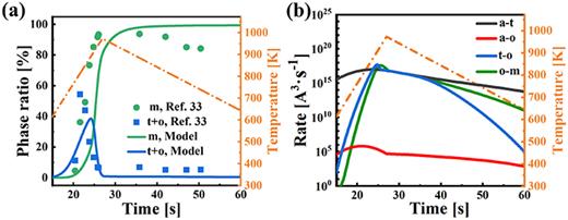 Insights into the ferroelectric orthorhombic phase formation in doped ...