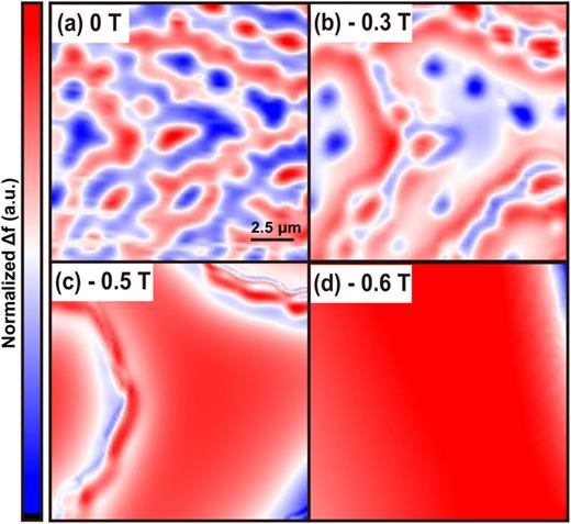 Magnetic domain study in Fe3GaTe2 ferromagnet with strong perpendicular ...