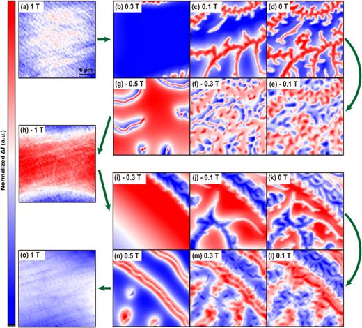 Magnetic domain study in Fe3GaTe2 ferromagnet with strong perpendicular ...