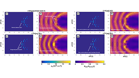 Numerical simulation of electromagnetic-wave interference induced by ...