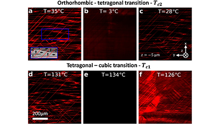 Probing ferroelectric phase transitions in barium titanate single ...
