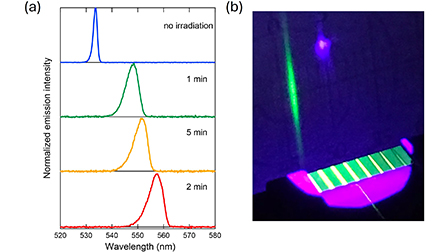 Electron beam induced multi-wavelength lasing in CdSe quantum dot ...