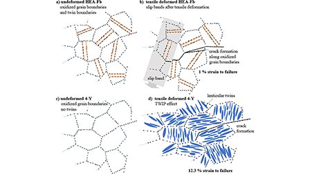 Microstructure evolution and twinning-induced plasticity (TWIP) in hcp ...