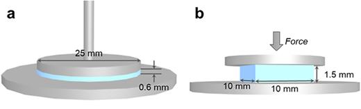 Predicting bond line thickness of polymeric thermal interface materials ...
