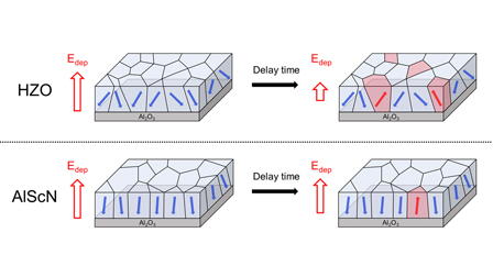 Comparative study on the stability of ferroelectric polarization of ...